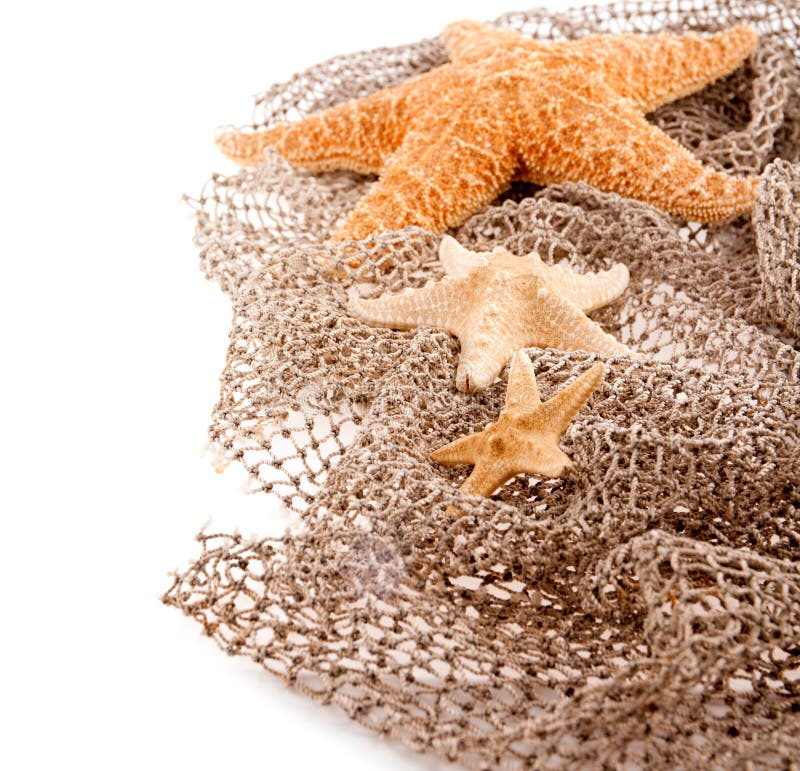 Three Sea the Stars of Different Sizes Lie on the Fishing Net Stock ...