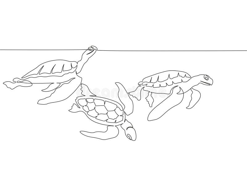 Turtles Continuous Line Stock Illustrations – 14 Turtles Continuous ...
