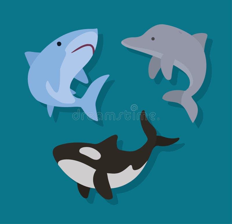 Three Sealife Animals Icons Stock Vector - Illustration of dolphin ...
