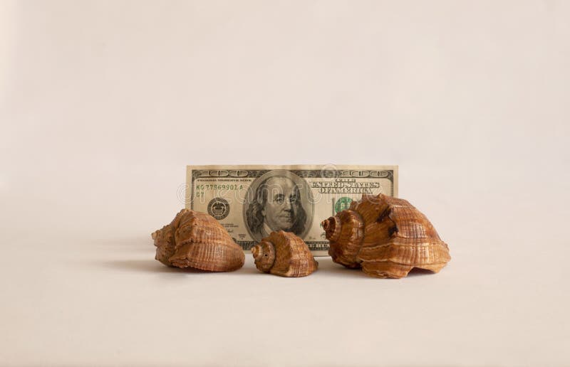 1,317 Three Dollar Bill Stock Photos - Free & Royalty-Free Stock Photos ...