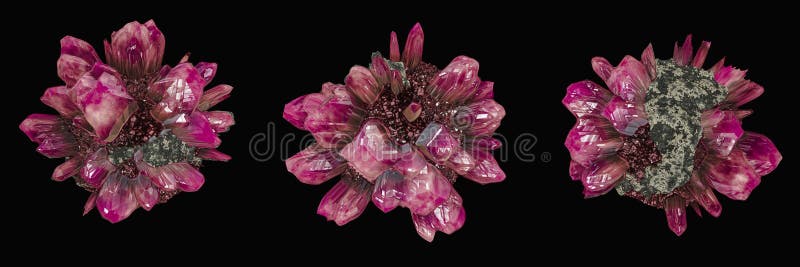 Three Rose Quartz Crystal Clusters on Black Stock Illustration ...