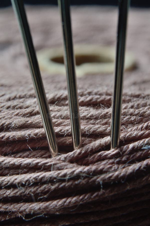 Three Sewing Needles are Inserted into a Spool of Thread. Close-up ...