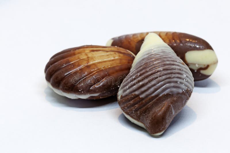 Three Shells with Different Shapes Made of Chocolate Stock Photo ...