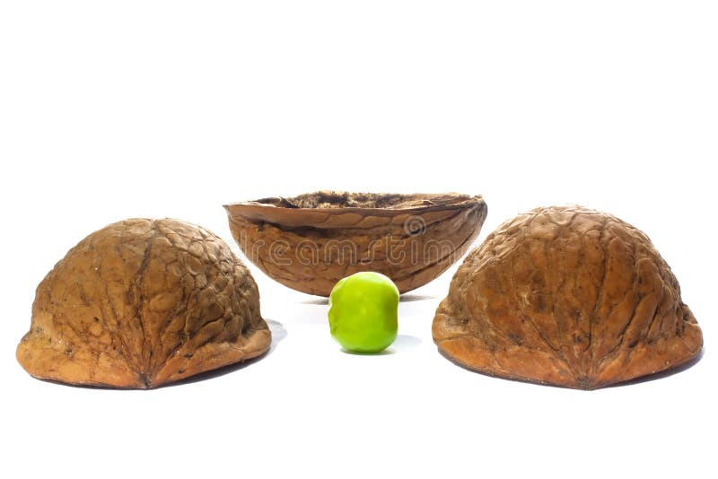 Three shells and a pea stock image. Image of trick, organic - 19043337