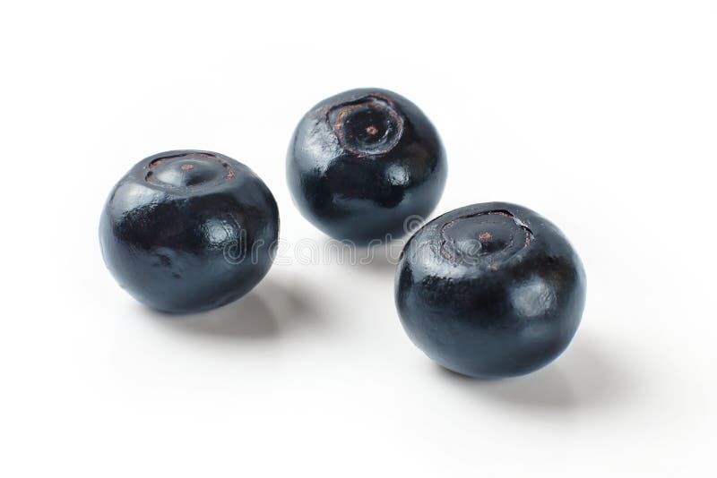 Three Blueberries Isolated In White Stock Photo - Image of three, round ...