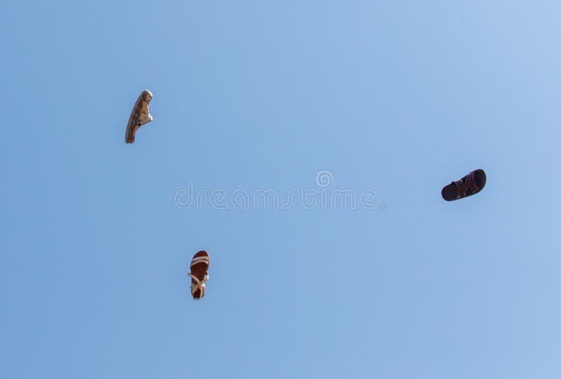Three Shoes are Flying in the Sky Stock Image - Image of beak, flock ...