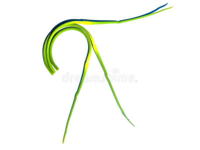 Three Shoots of Green Garlic Isolated on White Background. Stock Photo ...