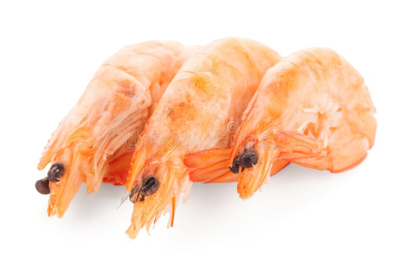 Three shrimps stock image. Image of orange, cooked, prawn - 985191