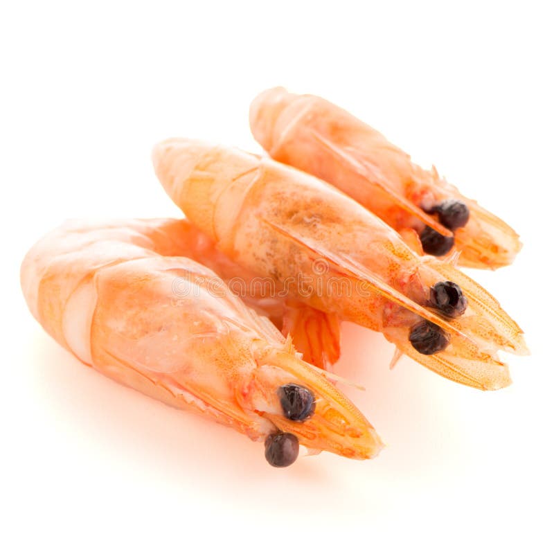 Three shrimps stock image. Image of orange, cooked, prawn - 985191