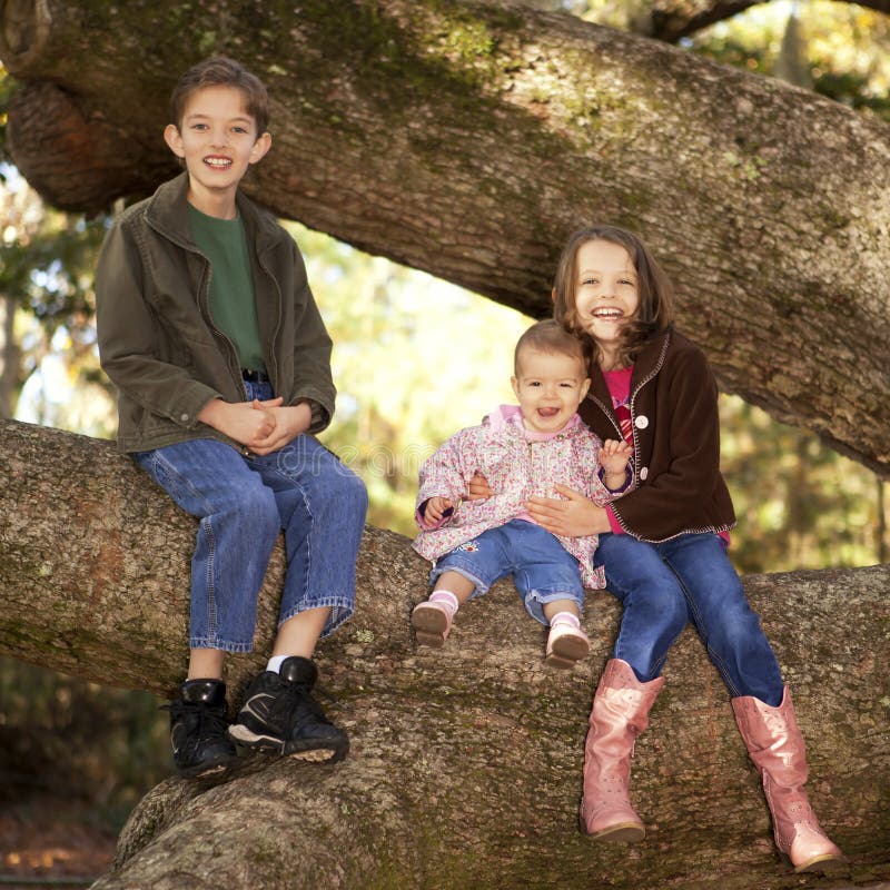 Three siblings in a tree stock photo. Image of quality - 18335928