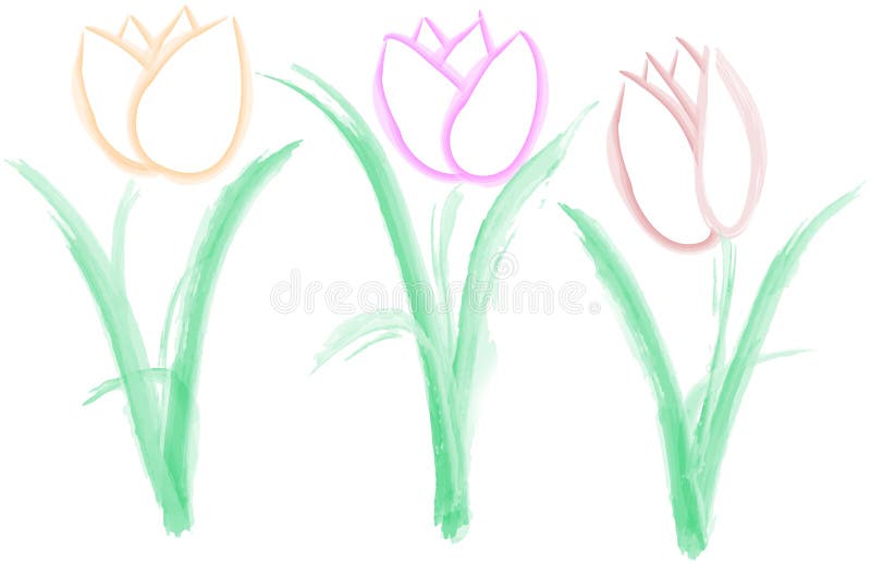 Three Simple Tulips - Vector Stock Illustration - Illustration of paint ...