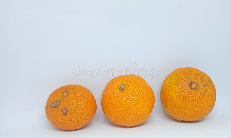 Three size orange stock image. Image of size, sweet - 239943035