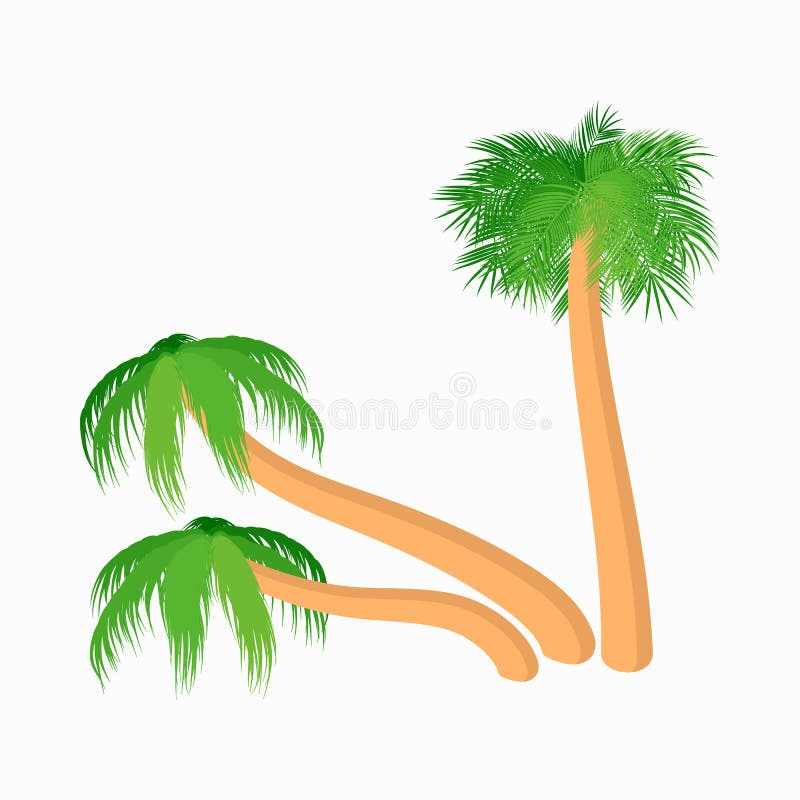 Three Slanted Palm Trees Icon, Cartoon Style Stock Vector ...