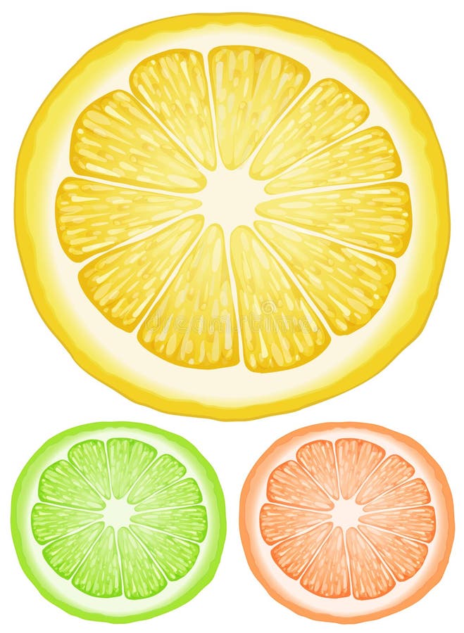 Three Slices of Lemon in Different Colors Stock Vector - Illustration ...