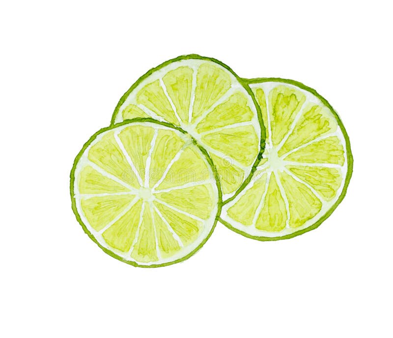 Three Slices of Lime Isolated on White Background. Stock Illustration ...