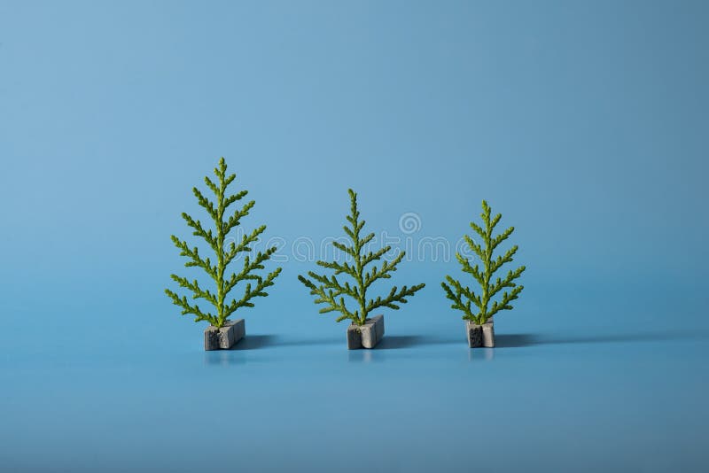 Three Small Christmas Trees on a Blue Background Stock Image - Image of ...