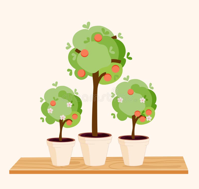 Tangerine tree in a pot stock illustration. Illustration of green ...