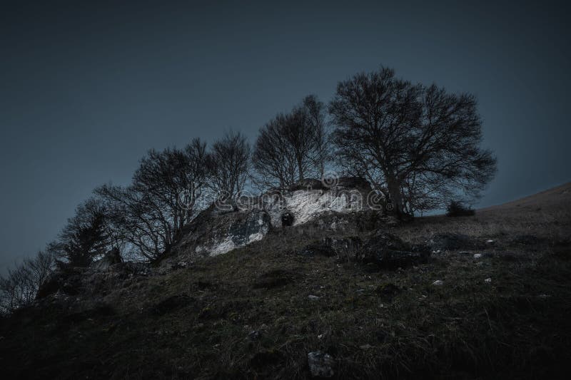 Three Small Trees on the Edge of a Hill on the Side Stock Image - Image ...
