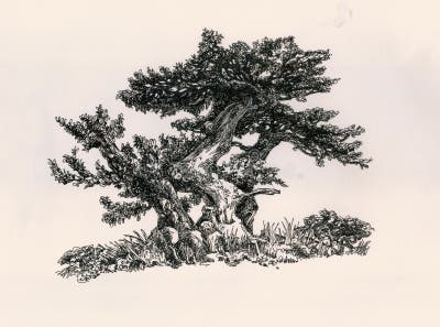 Three small trees. stock illustration. Illustration of handle - 100343041