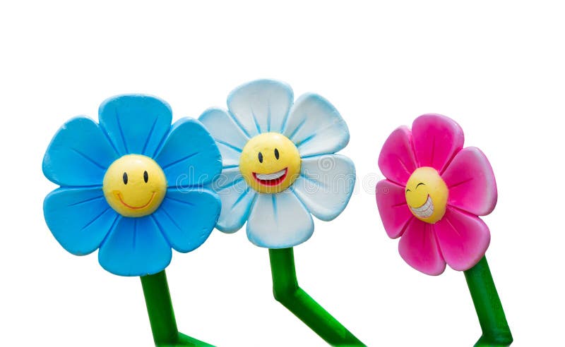 Three Smiling Sunflower Isolation Stock Image - Image of flower ...