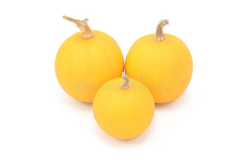 Three Smooth-skinned Orange Ornamental Gourds Stock Image - Image of ...