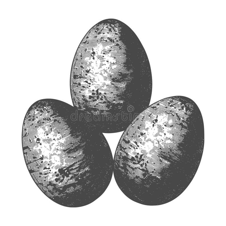 Three Rustic Eggs in a Triangle Composition, Vintage Style Illustration ...