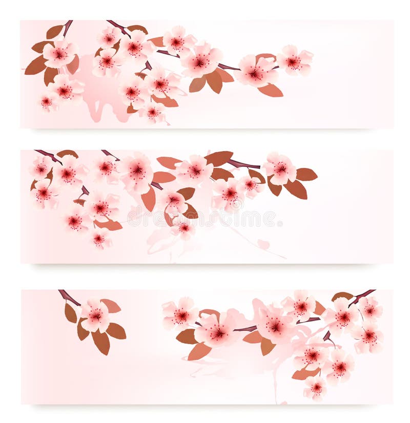 Three Spring Banners with Blossom Brunch of Pink Flowers. Stock Vector ...