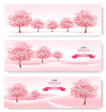 Three Spring Banners with Pink Cherry Blossom Trees. Stock Vector ...