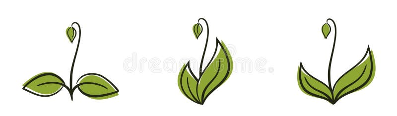 Three Spring Sprouts with Bud. Planting and Nature Design Elements ...