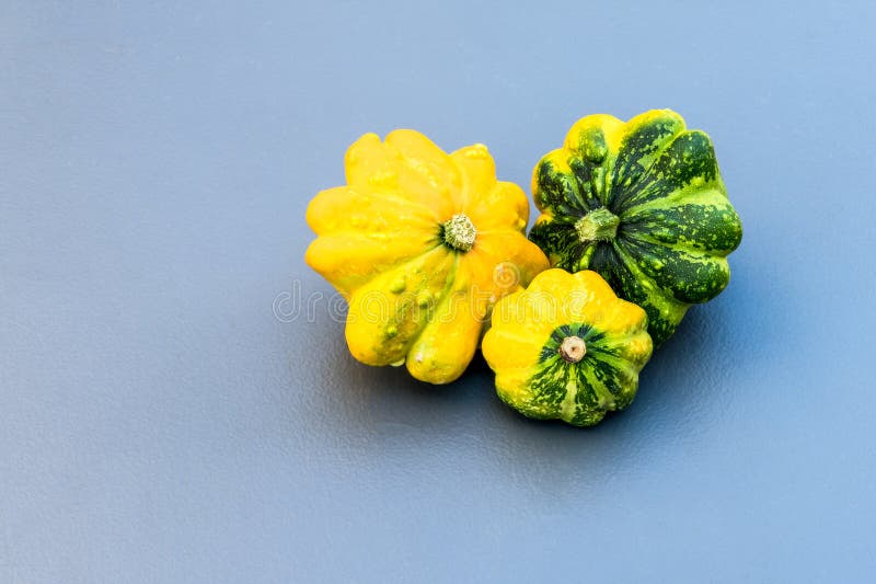 Three Squash Fruits with Yellow and Green Colot Mixture on a Grey Table ...