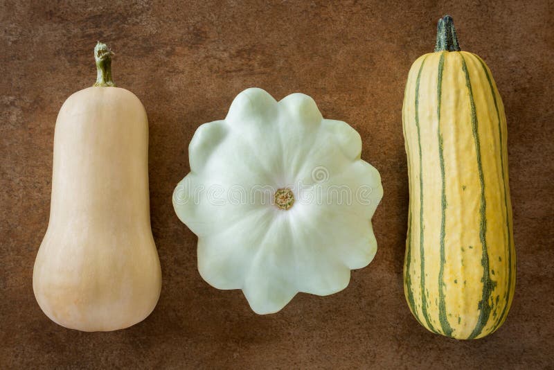 Types Of Squash Names