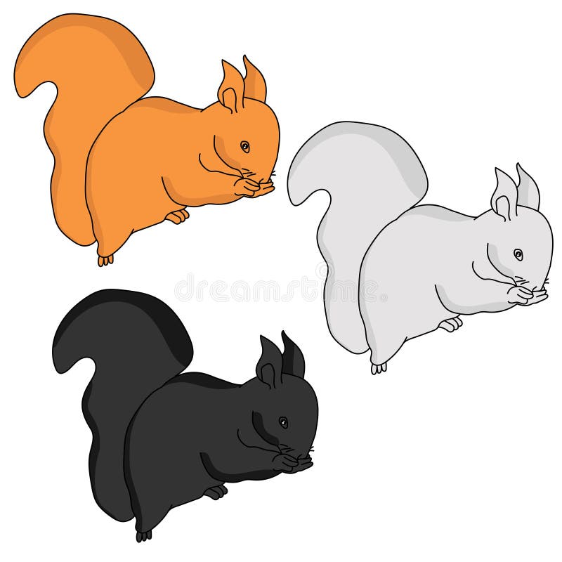 Three Squirrels Stock Illustrations – 84 Three Squirrels Stock ...