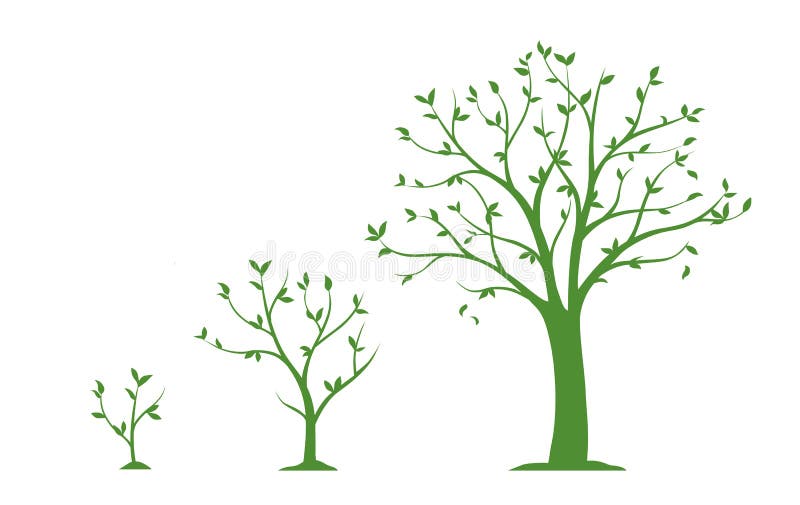 Growing Tree Stages