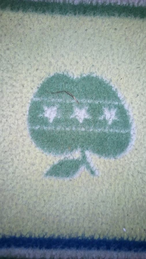 The three star the apple stock photo. Image of textile - 258879872