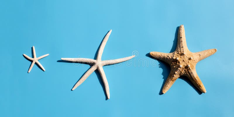 Three Starfish on Blue Background Stock Photo - Image of palm, bright ...