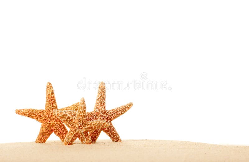 Three Starfish in the Sand stock photo. Image of shape - 14501978