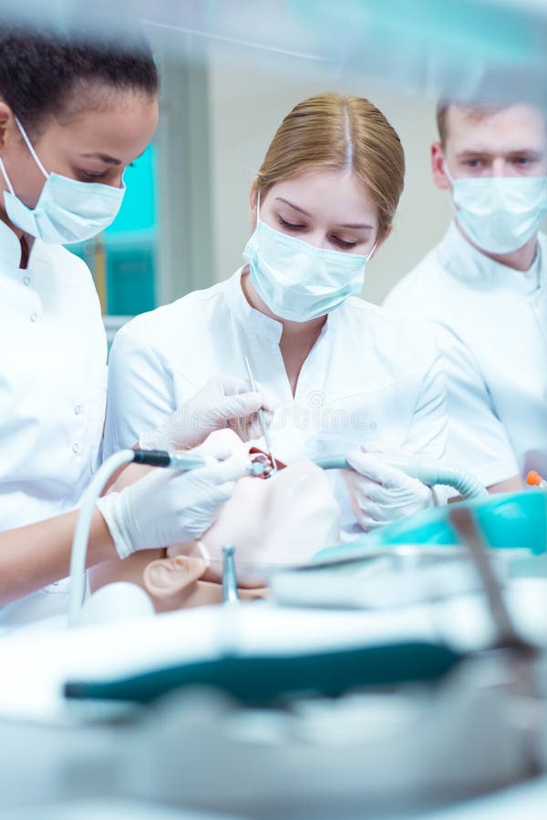 Three stomatology students stock image. Image of student - 79160799