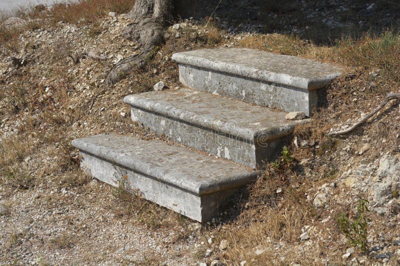 Three stone steps stock image. Image of needles, forest - 335399235