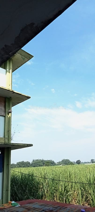 A Three-storey Building Located on the Edge of a Rice Field Stock Image ...