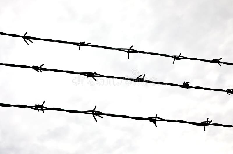 Three Strands of Barbed Wire on the Impassable Border of the Protected ...