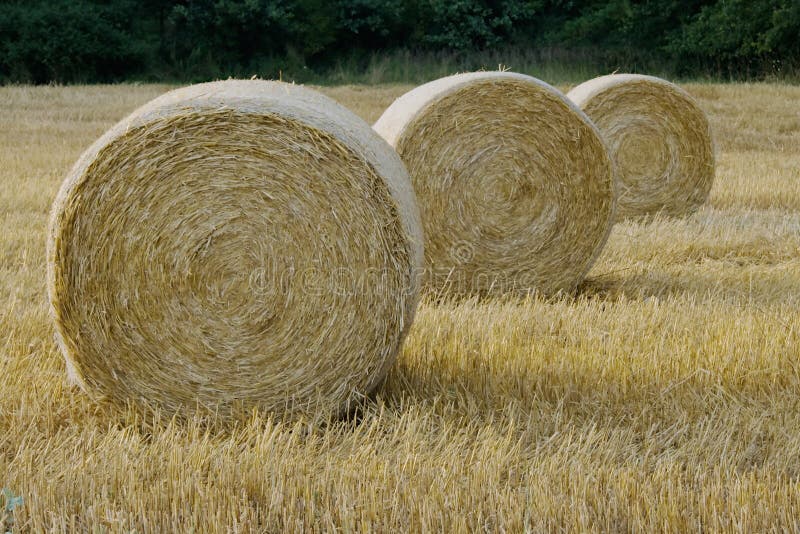 Three straw bales stock image. Image of summer, agriculture - 38351625