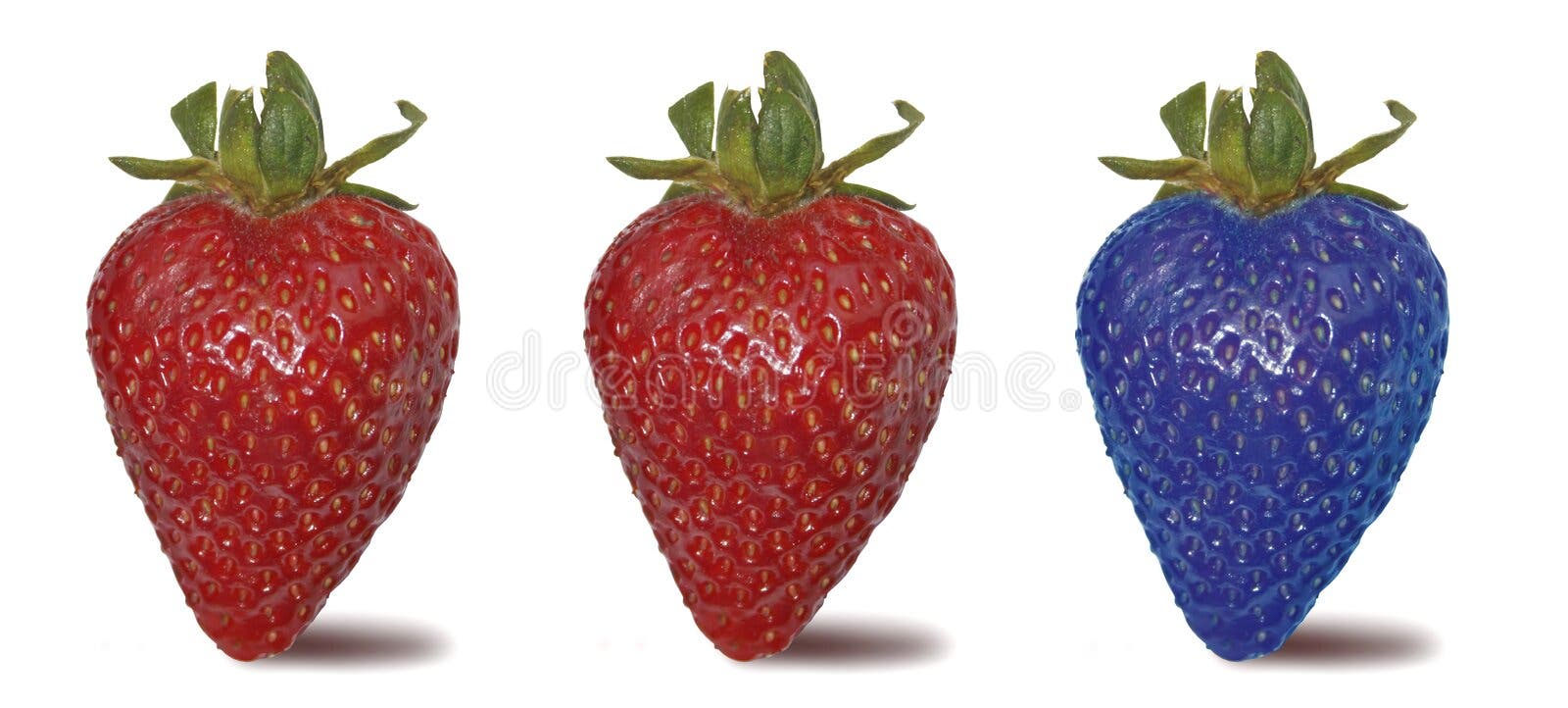 Lots of strawberries stock image. Image of strawberry - 1437171