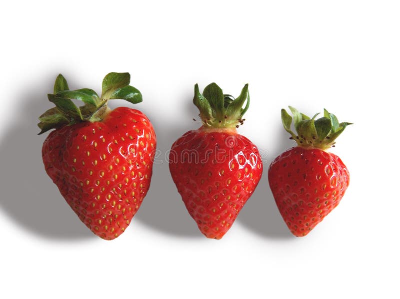 Three Strawberries with Strawberry Leaf on White Background. Stock ...