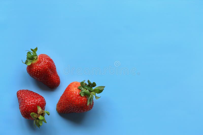 Three Strawberries on Blue Background Stock Photo - Image of ...