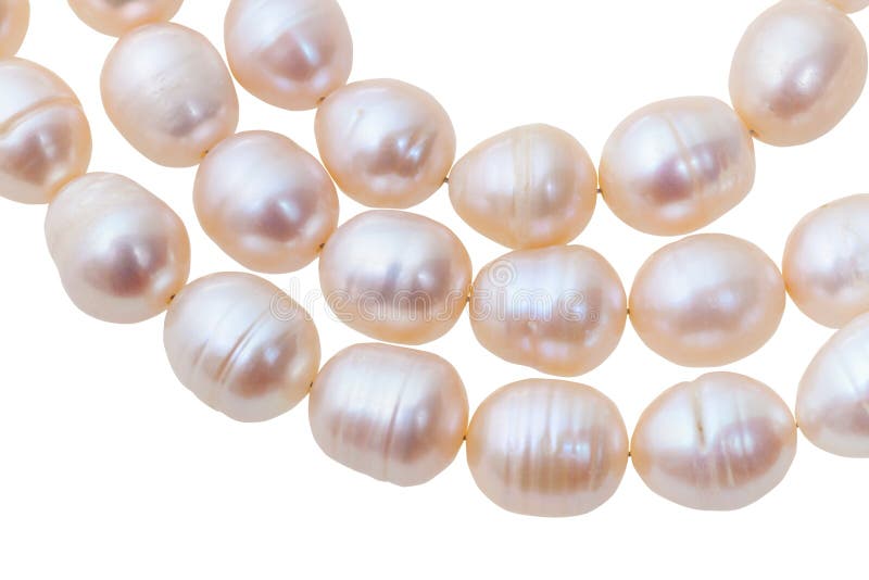 12,623 Pink Pearls Stock Photos - Free & Royalty-Free Stock Photos from ...