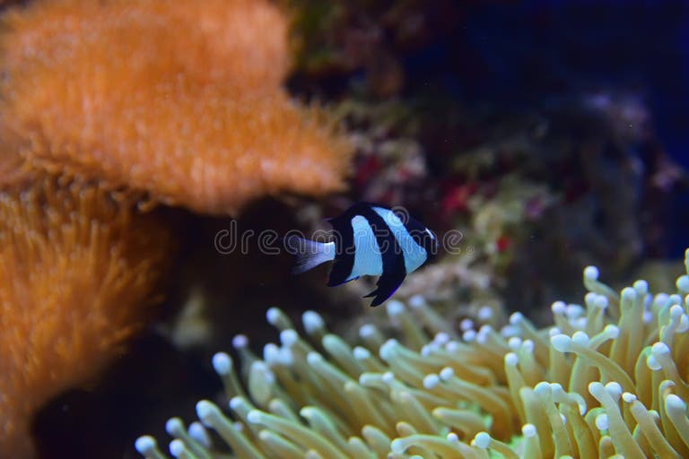 All Types Right Stock Photos - Free & Royalty-Free Stock Photos from ...