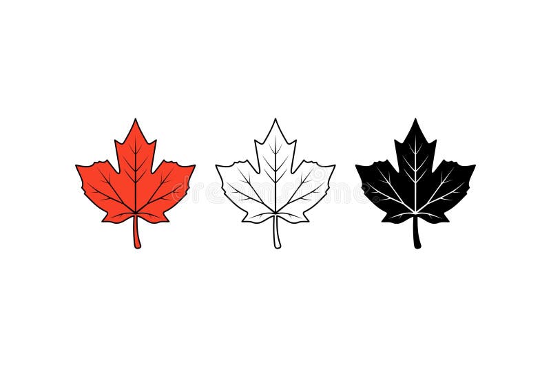 Three Styles Hand Drawn Maple Leaf Icon Stock Vector - Illustration of ...