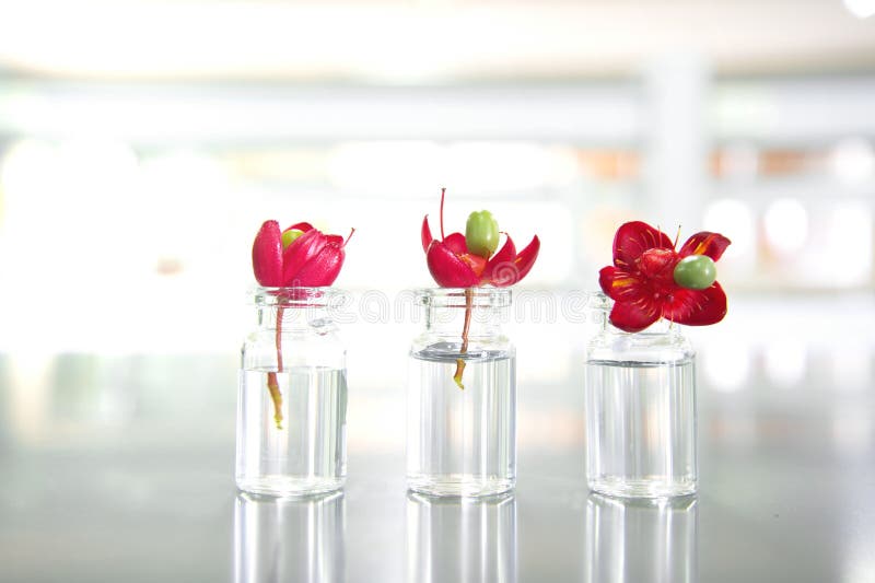 Three Glass Flask In Blue Chemistry Science Laboratory Background Stock ...