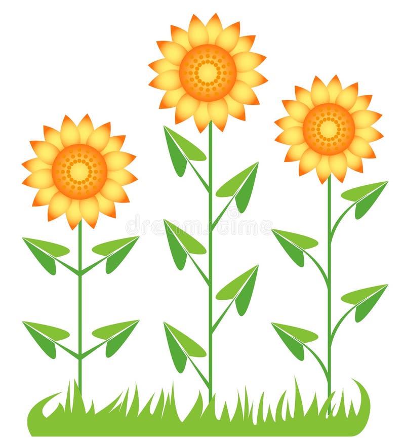 Three sunflowers. stock vector. Illustration of group - 14434391