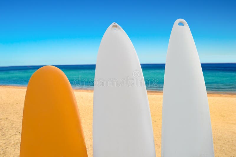 Three Surfboards Rest on the Sandy Beach by the Water Stock Photo ...